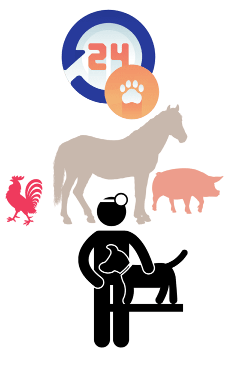 Home | Frontier Vet Clinic